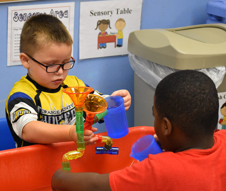 Structured Teaching – TEACCH - Potential Development